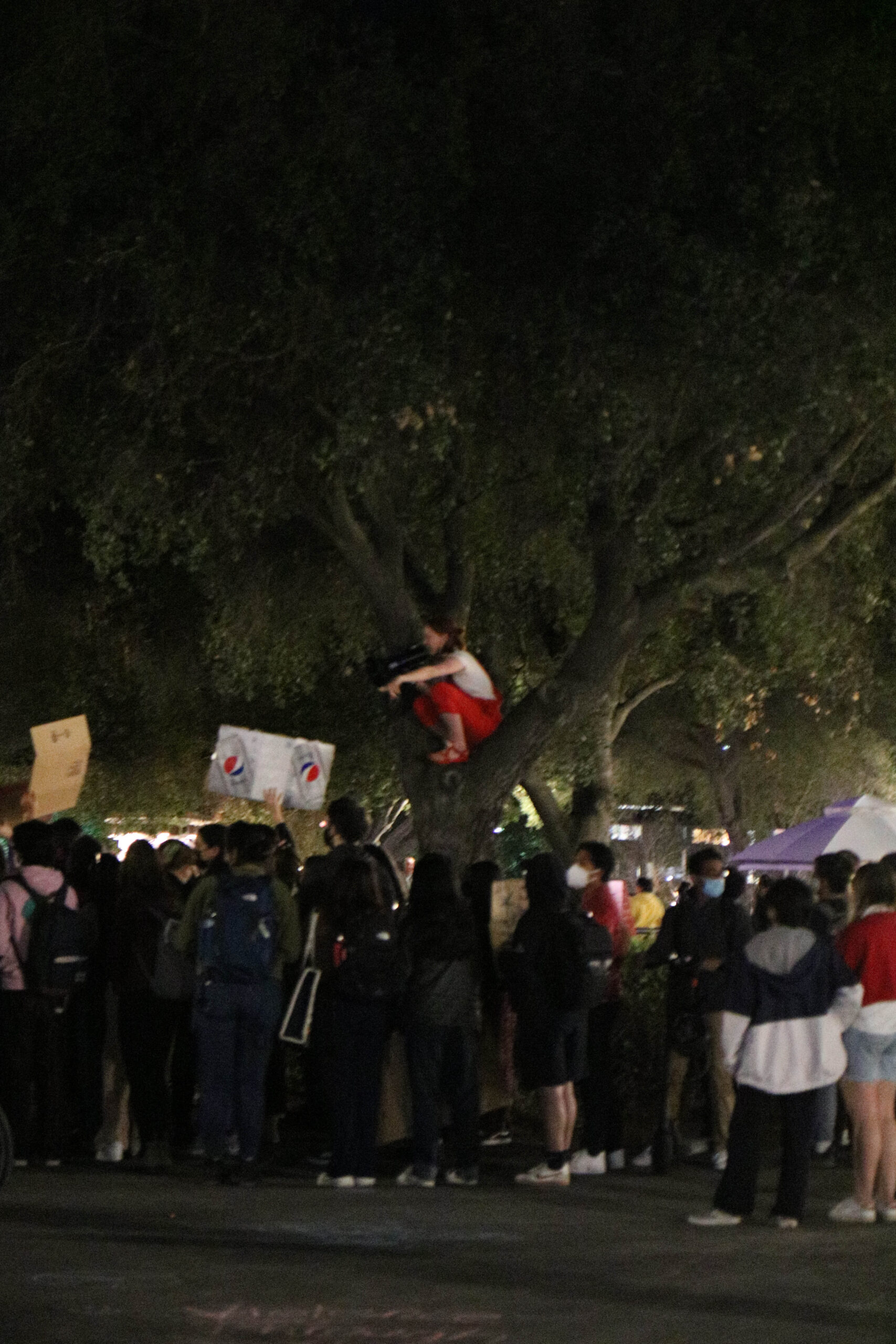 Arts + Justice: 2022 Grant Recipients – Stanford Arts